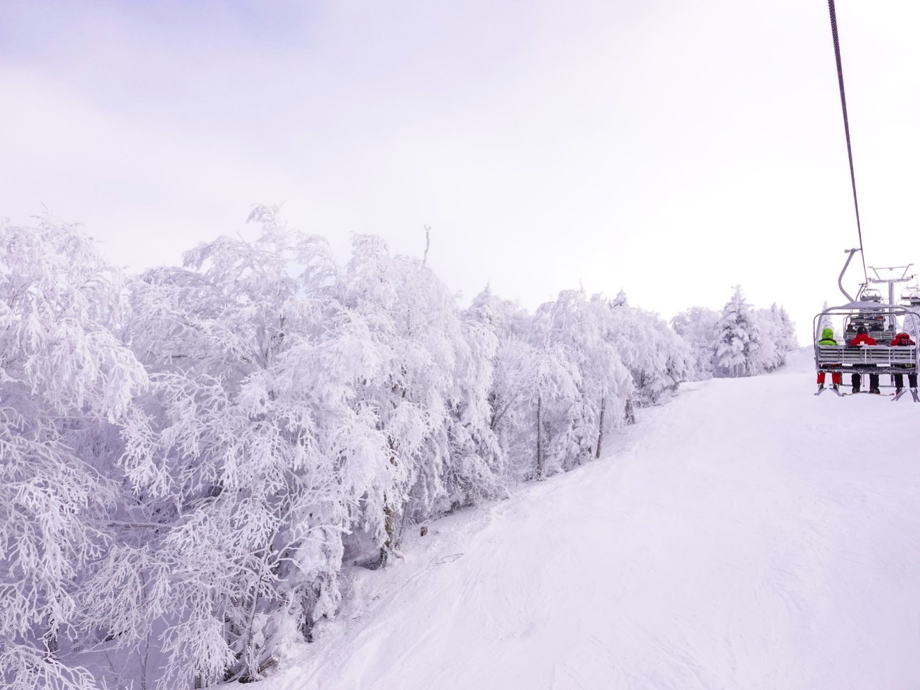 Experience an Unforgettable Spring Break in Sutton: Activities for All ...