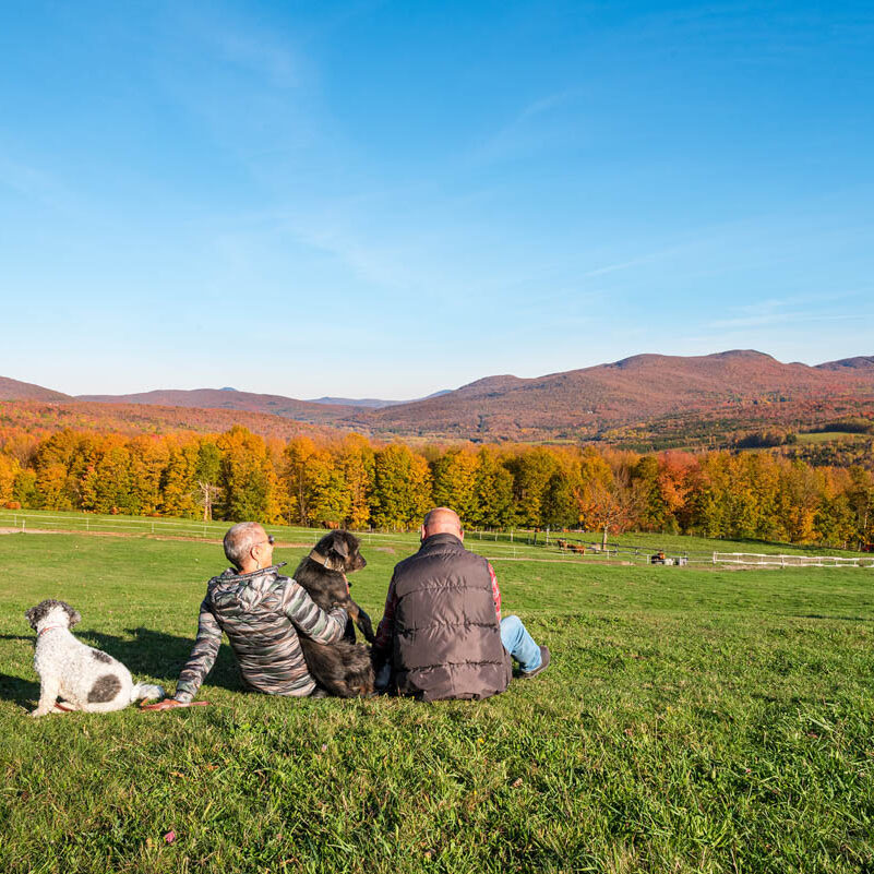 Où voir les couleurs d’automne à Sutton? - Tourisme Sutton